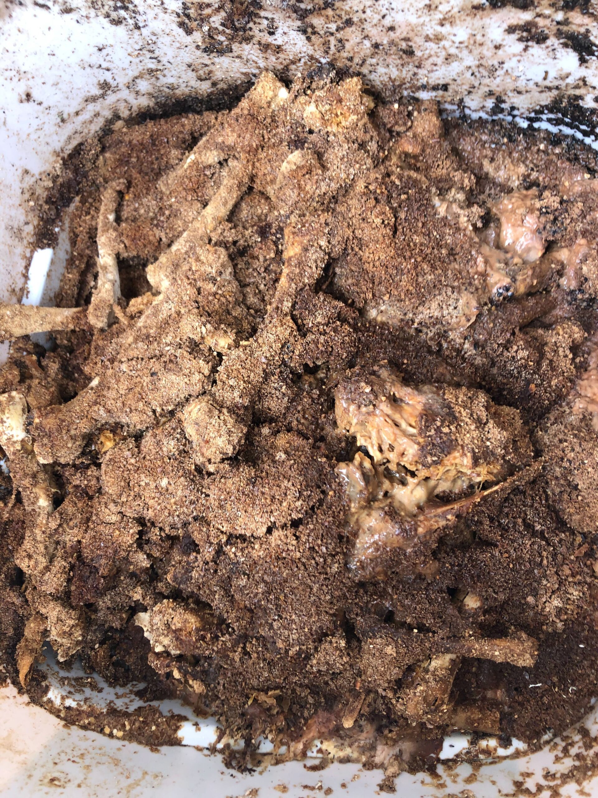 7 Composters & Food Waste-Reducers That Will Change Your Life (And the ...